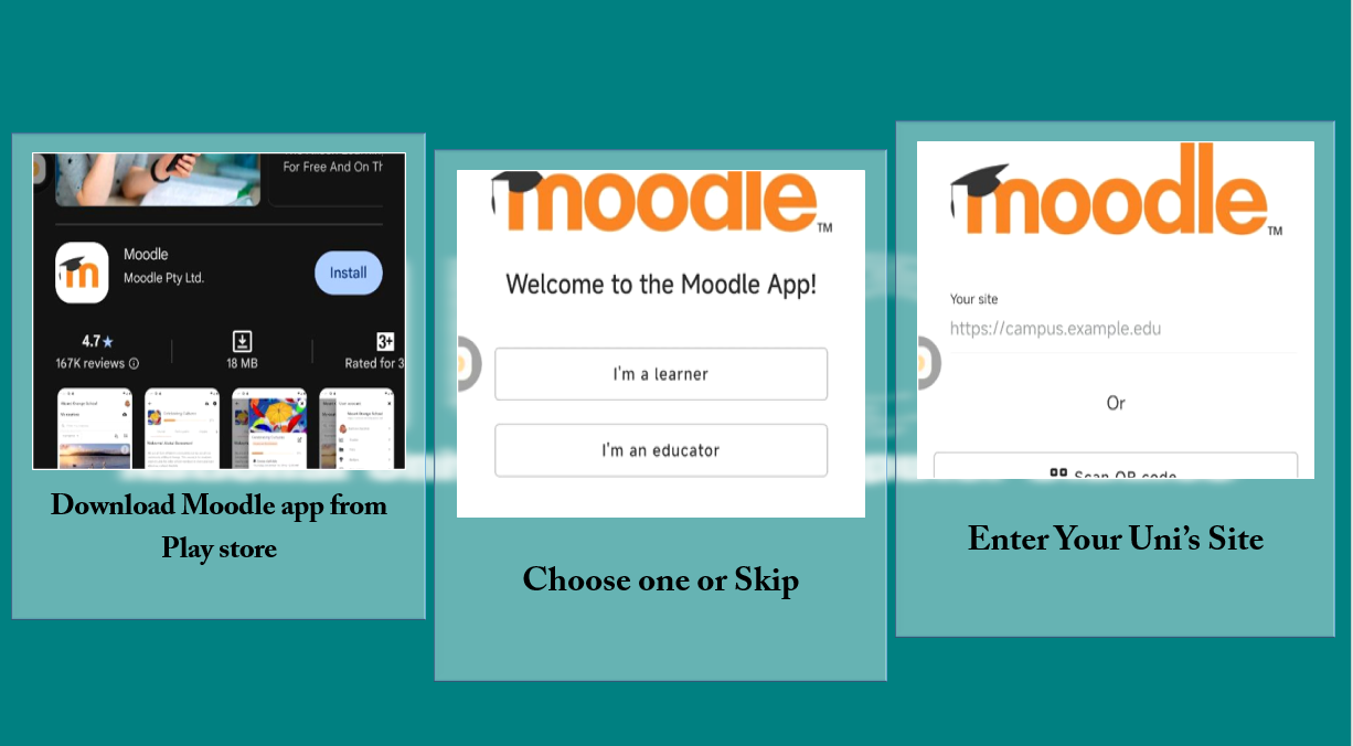 NUCS Moodle Guide – NUCS